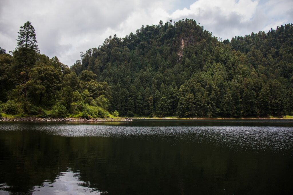 Cuernavaca Tour: Unearth the Gems of the Eternal Spring State (4 Days)